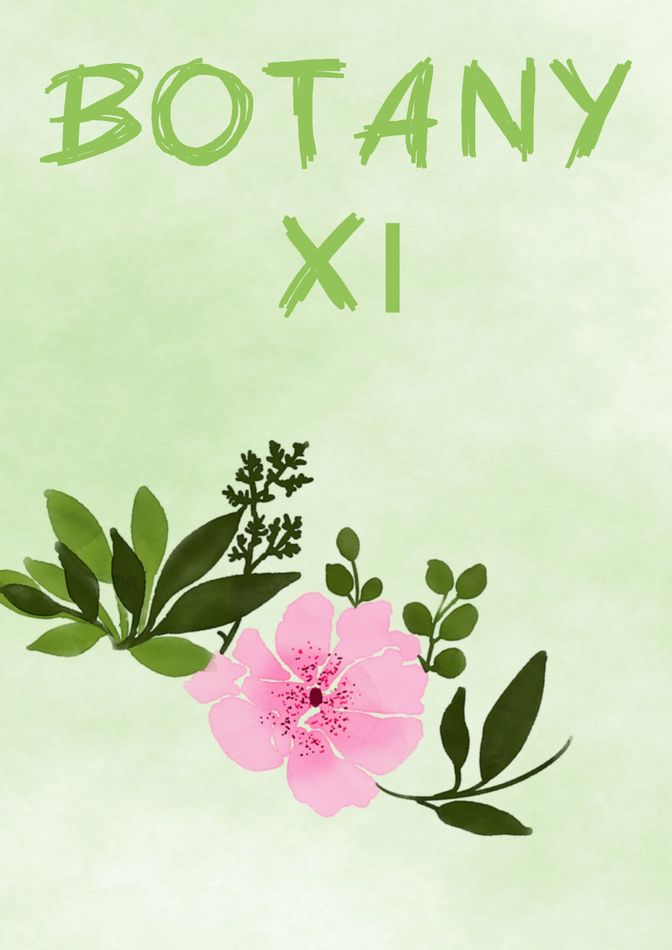 Botany 11th Class Handwritten Color Notes