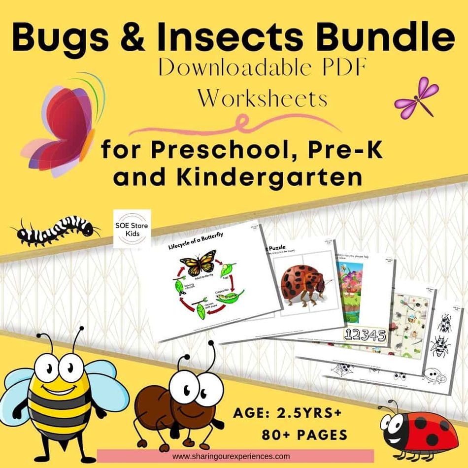 Preschool Bugs & Insects theme printables worksheets for Kindergarten PDF