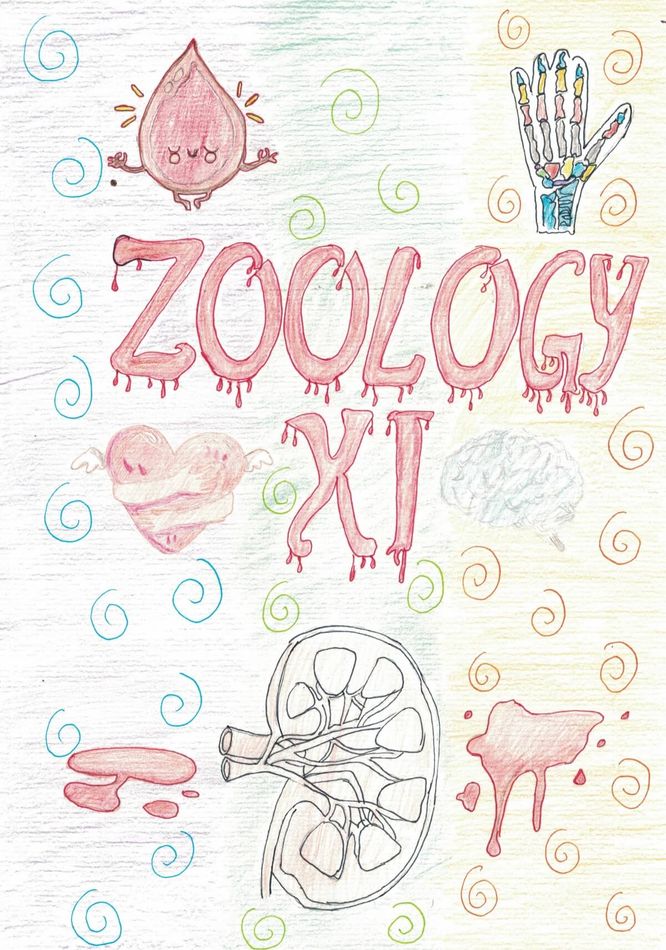 Zoology 11th Class Handwritten Color Notes