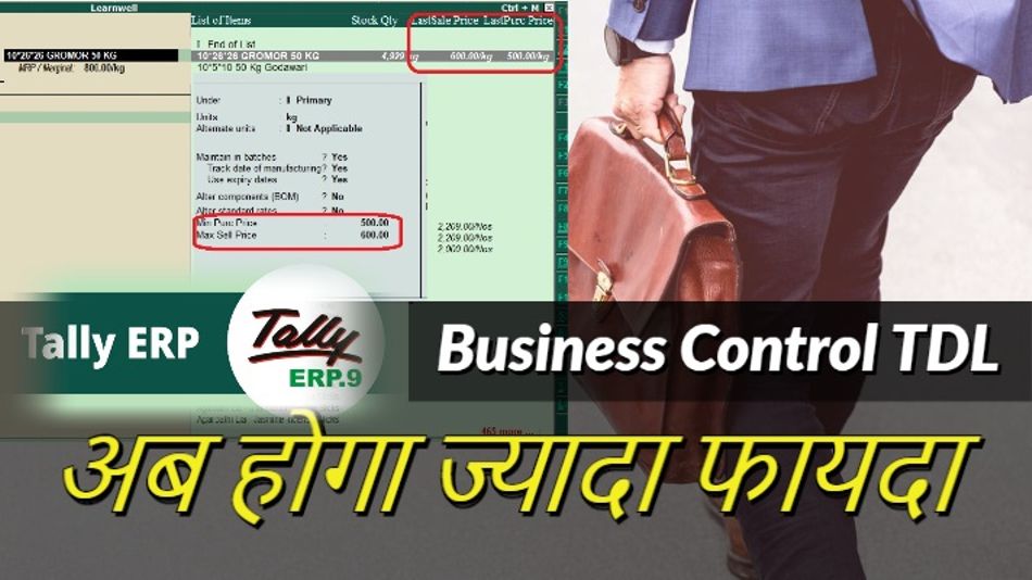 Business Control - Tally TDL
