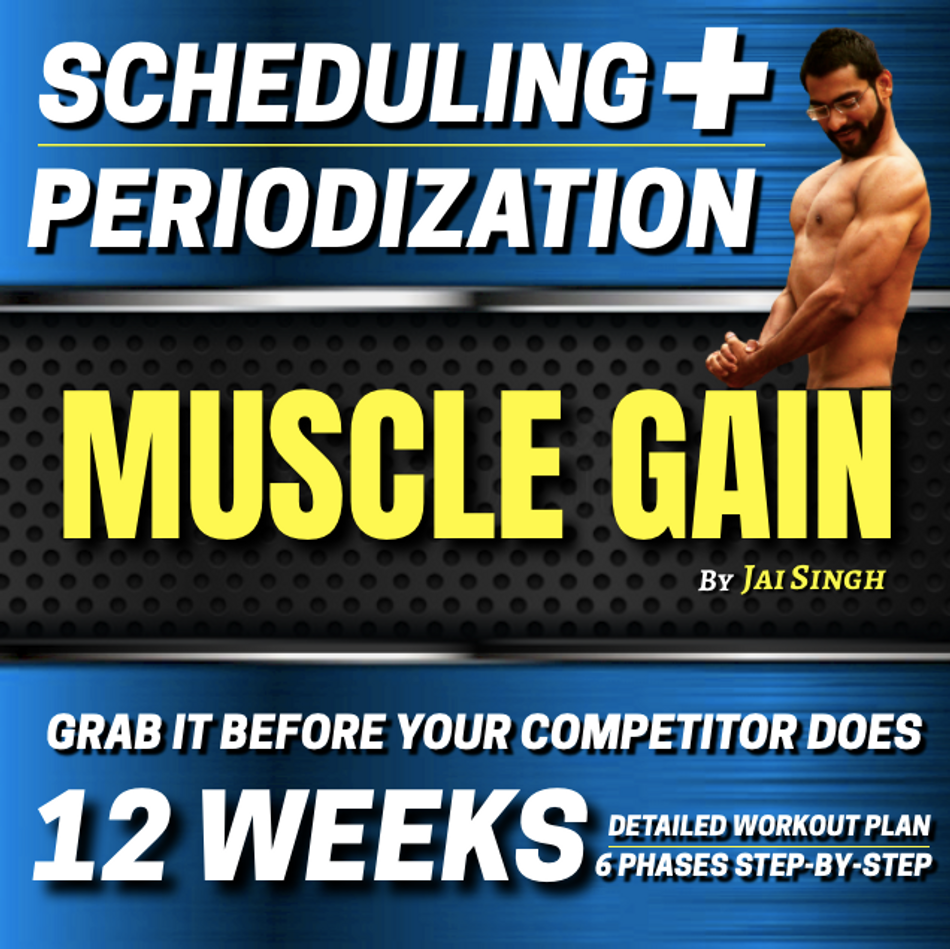 12 WEEKS MUSCLE GAIN Workout Plan (Periodization + Scheduling)