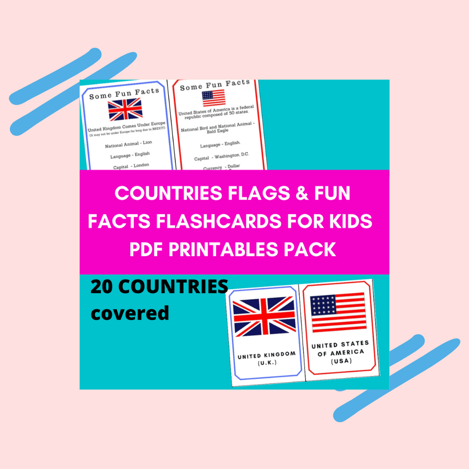 Countries Flags flash card printables (digital product)